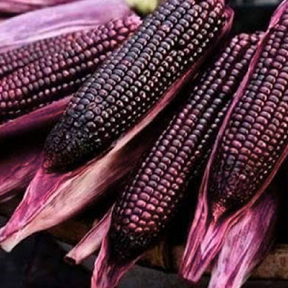 vendemos - Uña de gato extracto atomizado - QUIMPER INTERNATIONAL EIRL ...