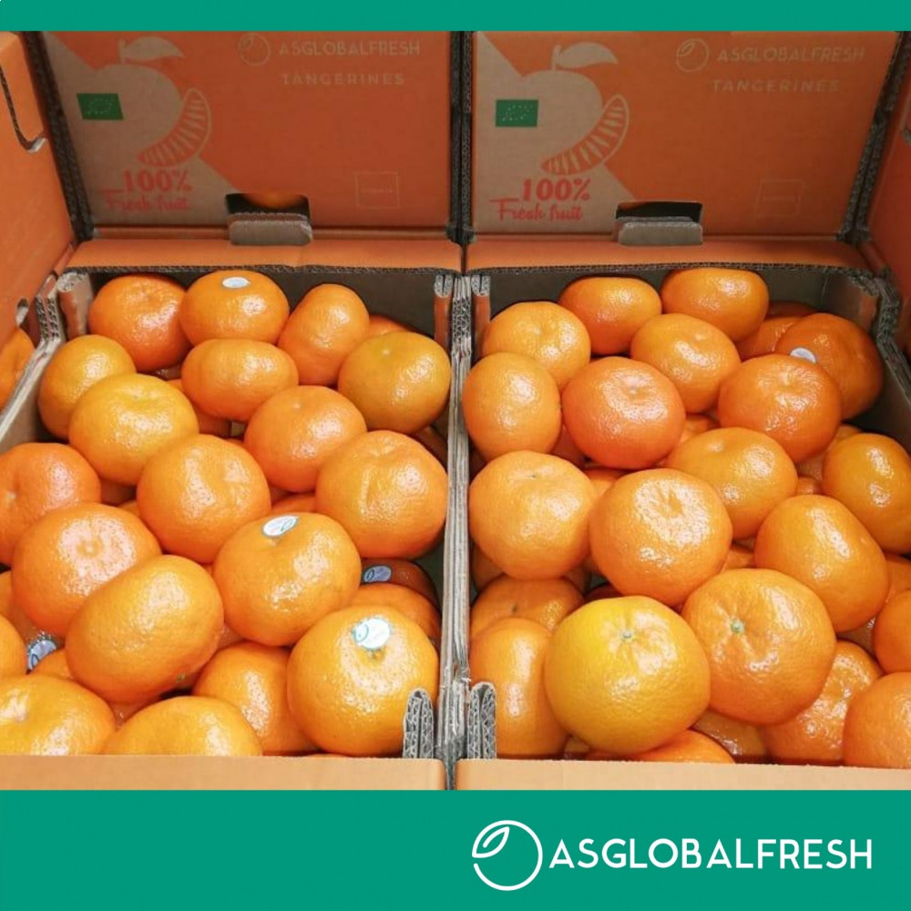 MANDARINA W. MURCOTT - B2Perú