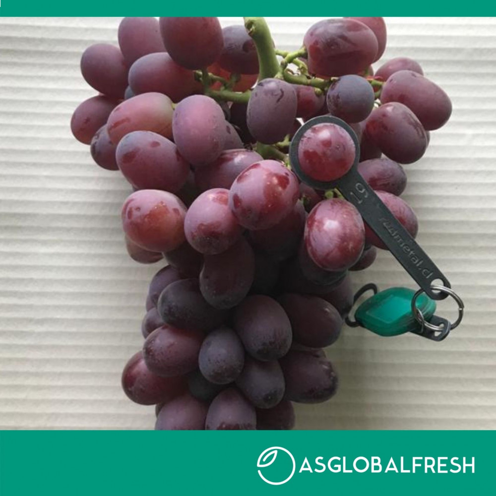 vendemos - UVA DE MESA THOMPSON SEEDLESS - asglobalfresh - B2Perú