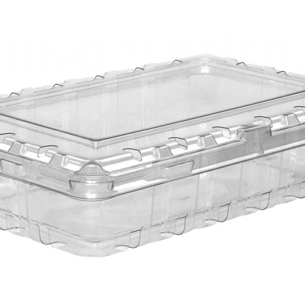 CLAMSHELL 125 G H40 TR PET - B2Perú