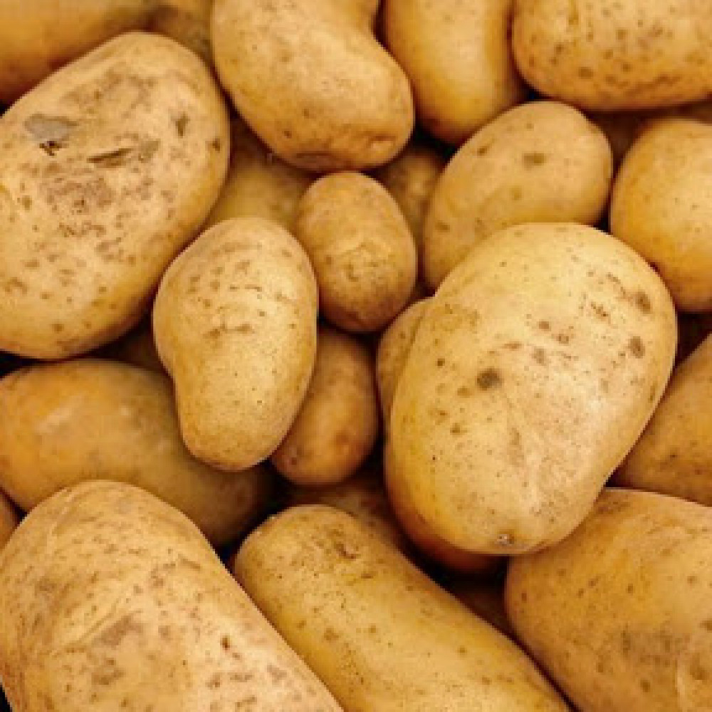 vendemos - BANANA - Ali Gholami Fruit & Vegetable LLC, - B2Perú